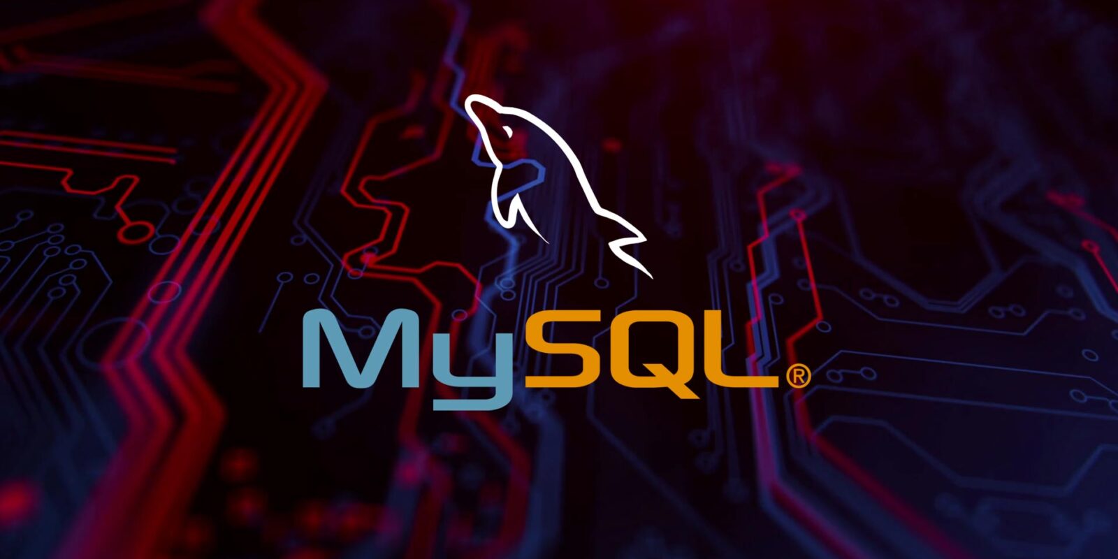 Exportar una base de datos de MySQL Workbench